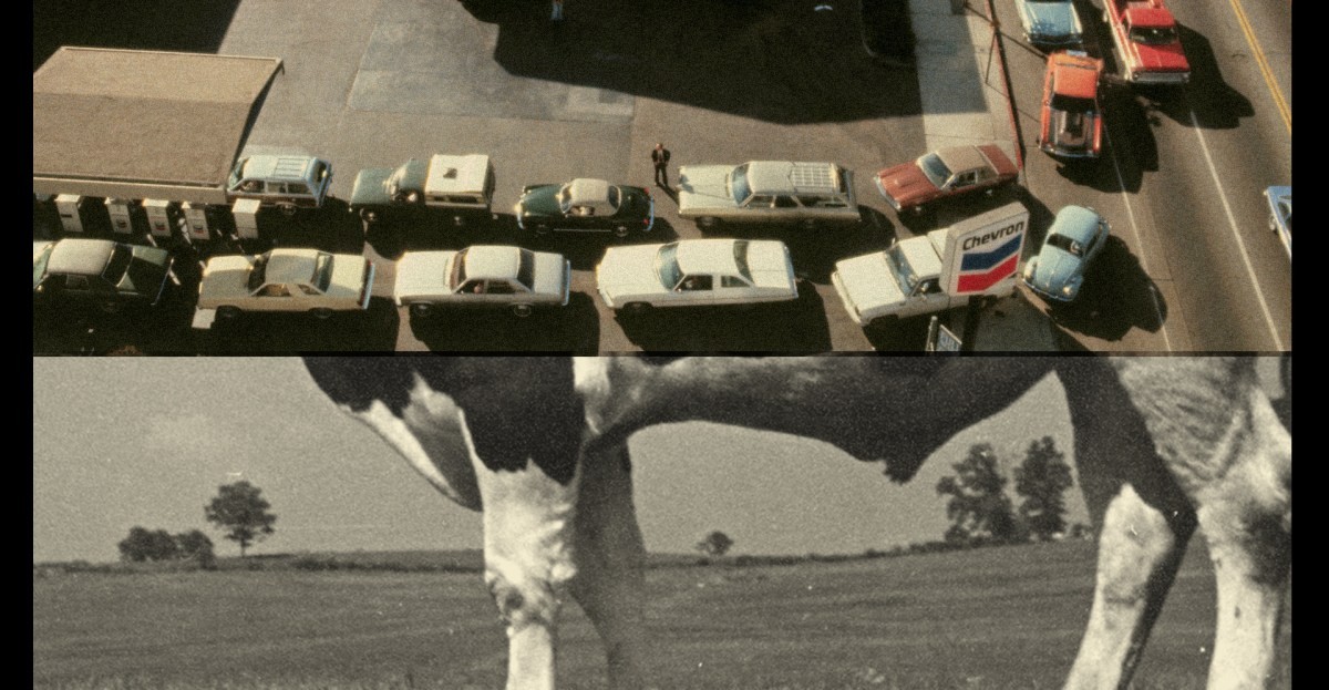 Decoupling Growth from Environmental Impact: Rethinking Meat and Cars ...